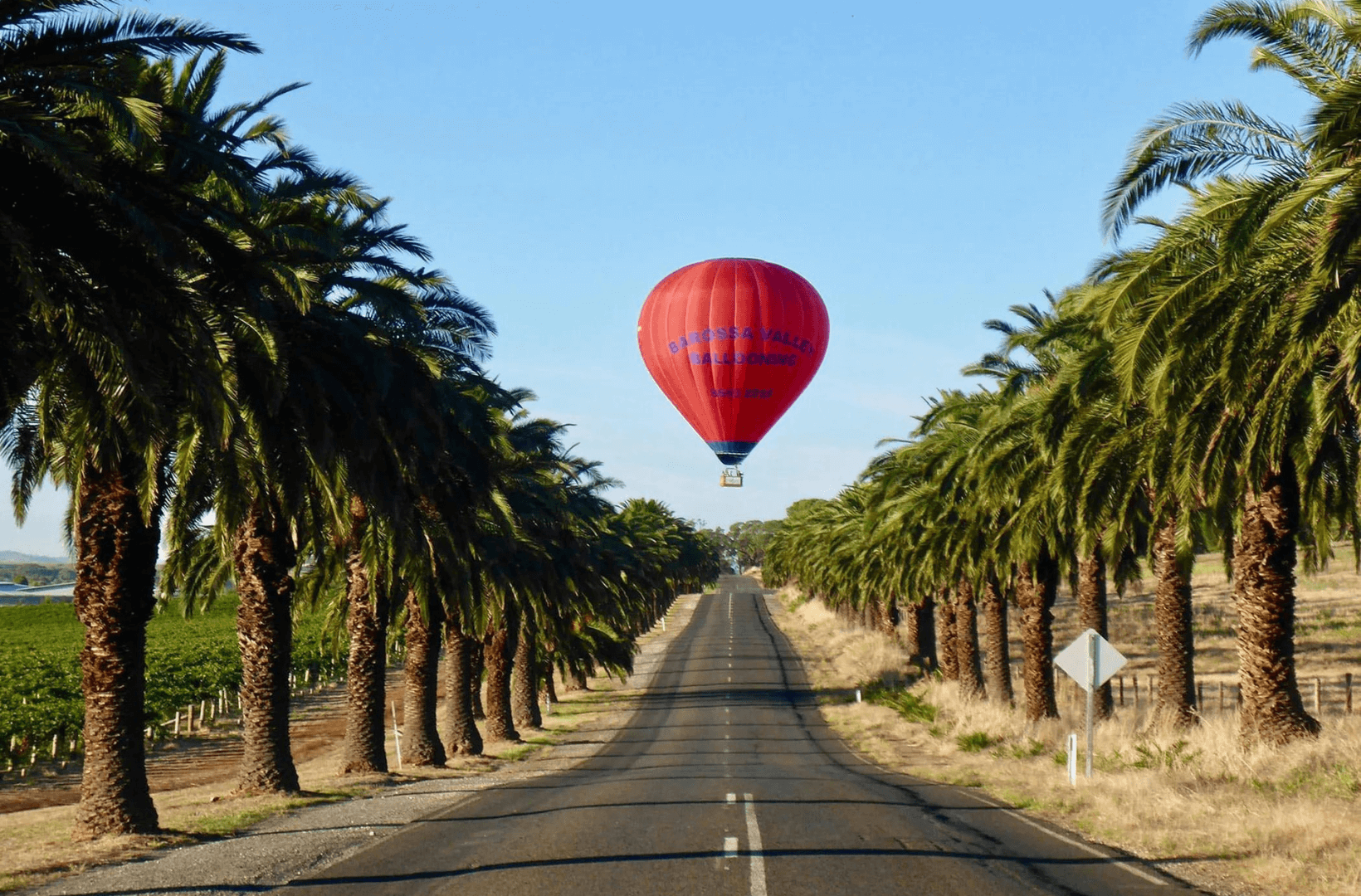 Things To Do In The Barossa Valley | Barossa Grand Retreats