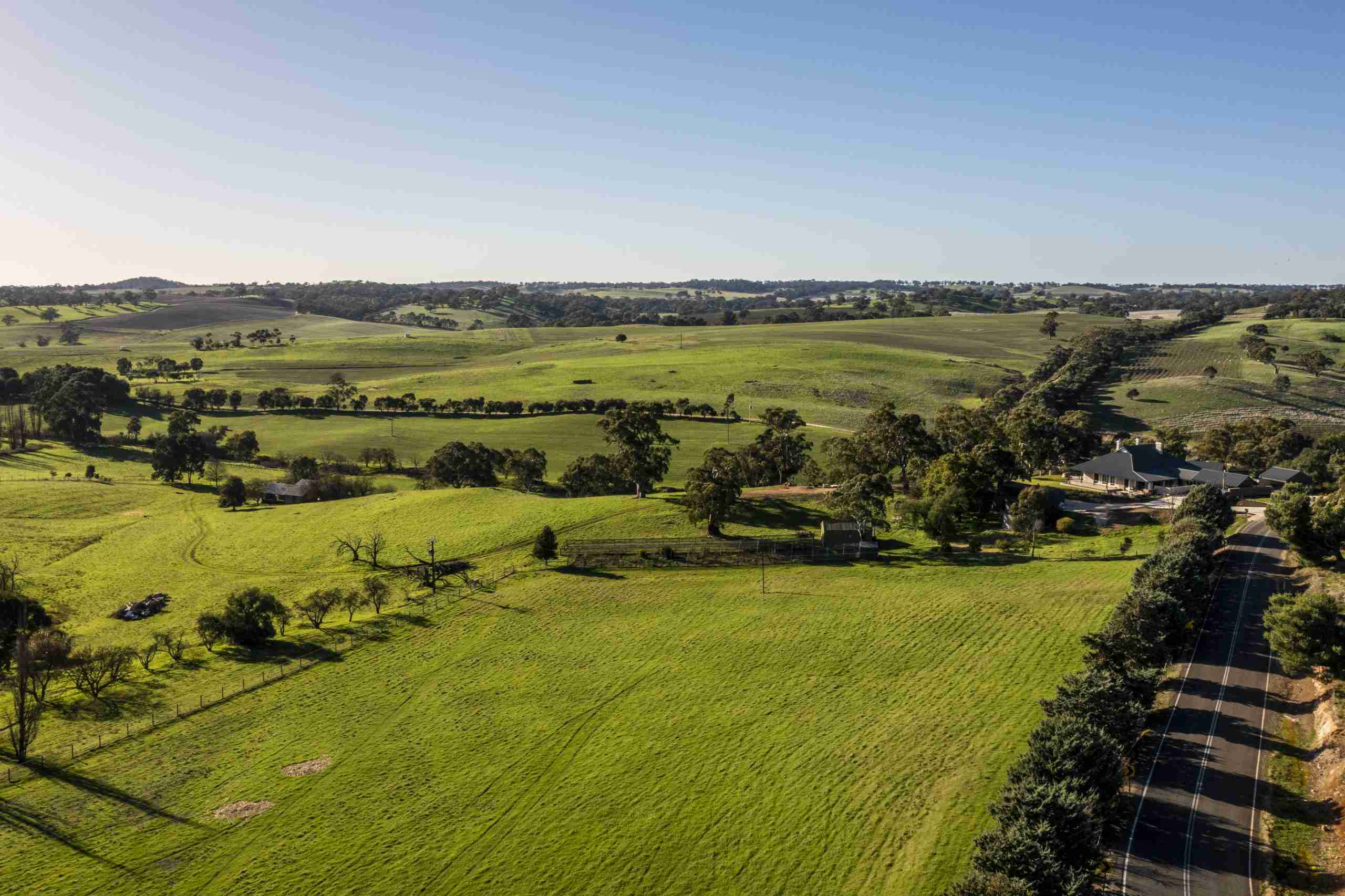 Ultimate Guide to Barossa Valley | Barossa Grand Retreats